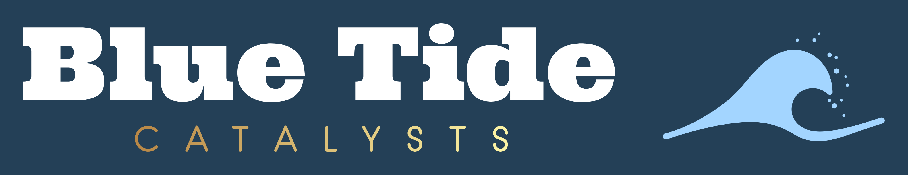 Blue Tide Catalysts | Executive Coaching for Purpose-Driven Founders